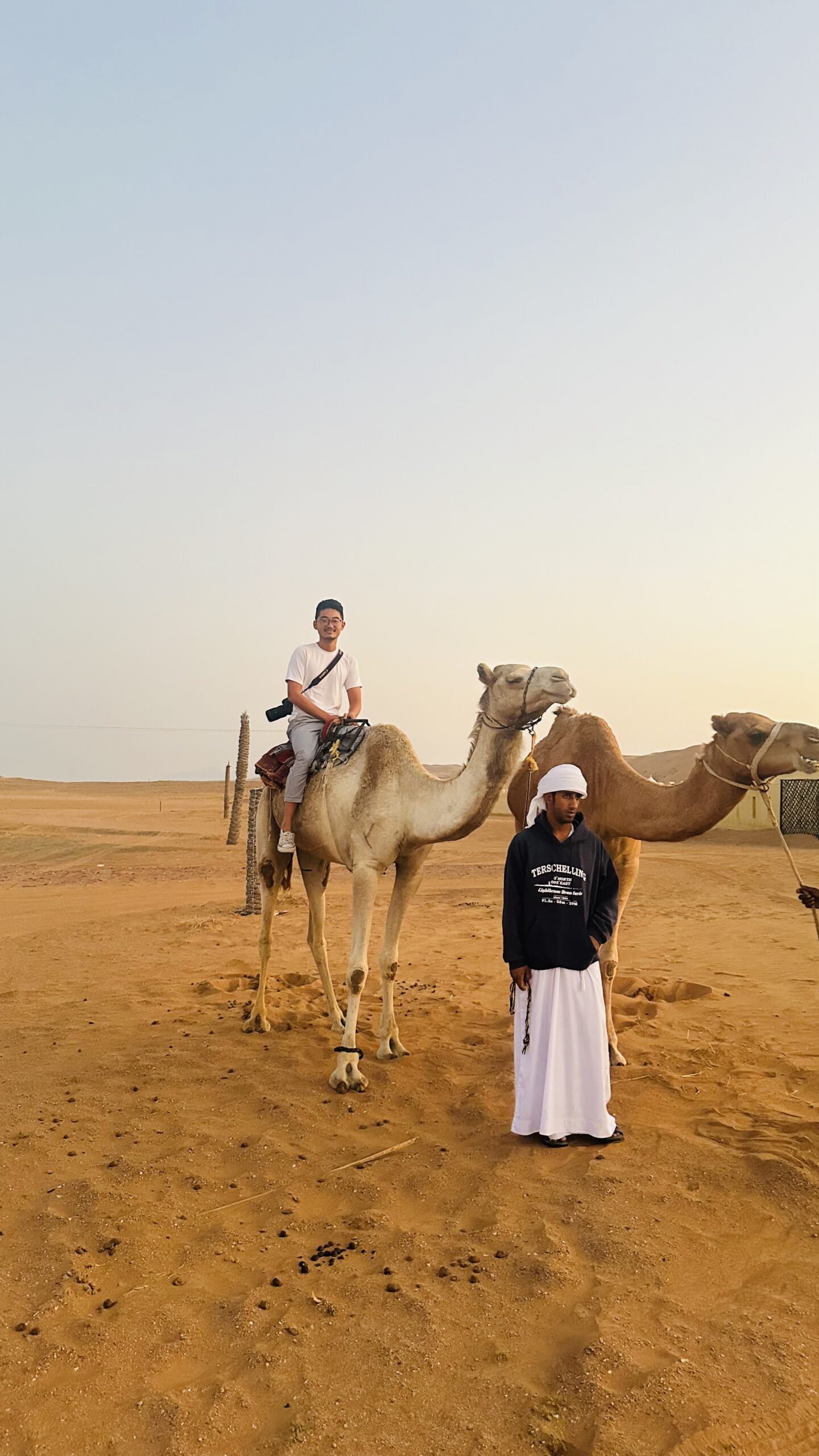Camel Safari Oman | Authentic Desert Ride Experience